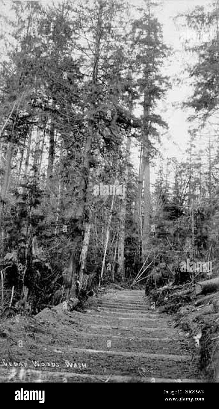 Skid road for logging in conifer woods, Washington, 1891-1892 (WASTATE ...