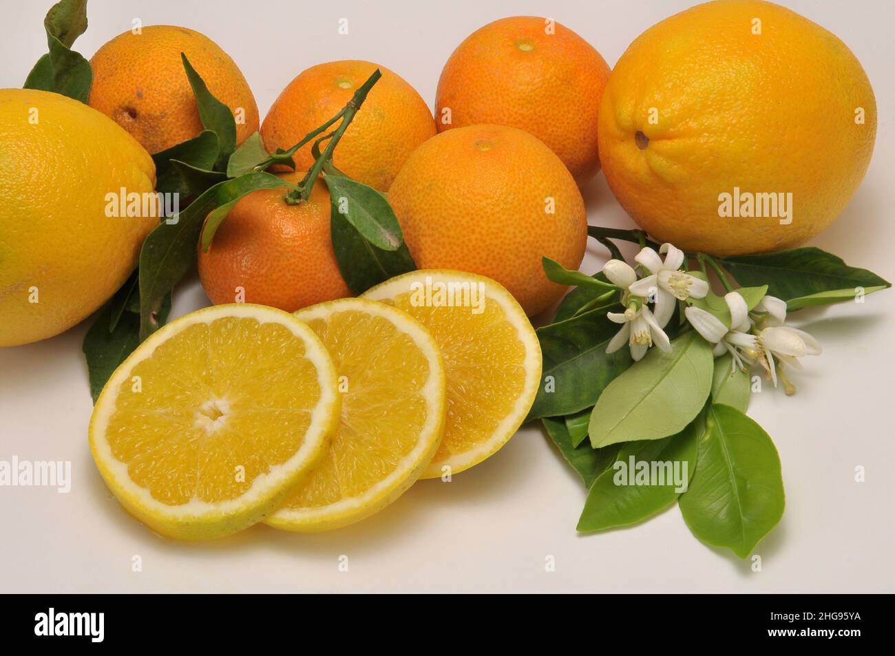 Luscious oranges hi-res stock photography and images - Alamy