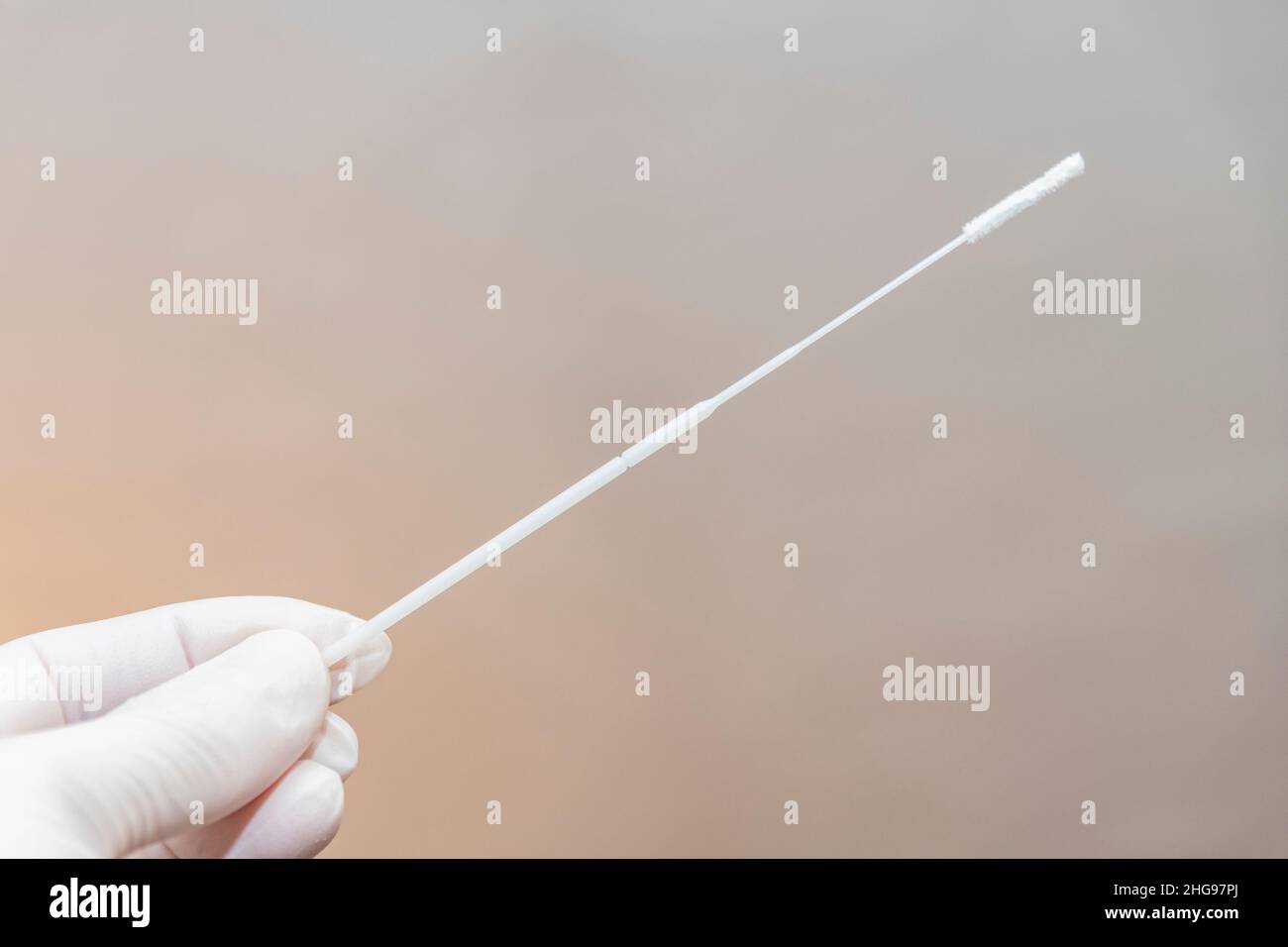 Hand holding quick flu test swab Stock Photo - Alamy