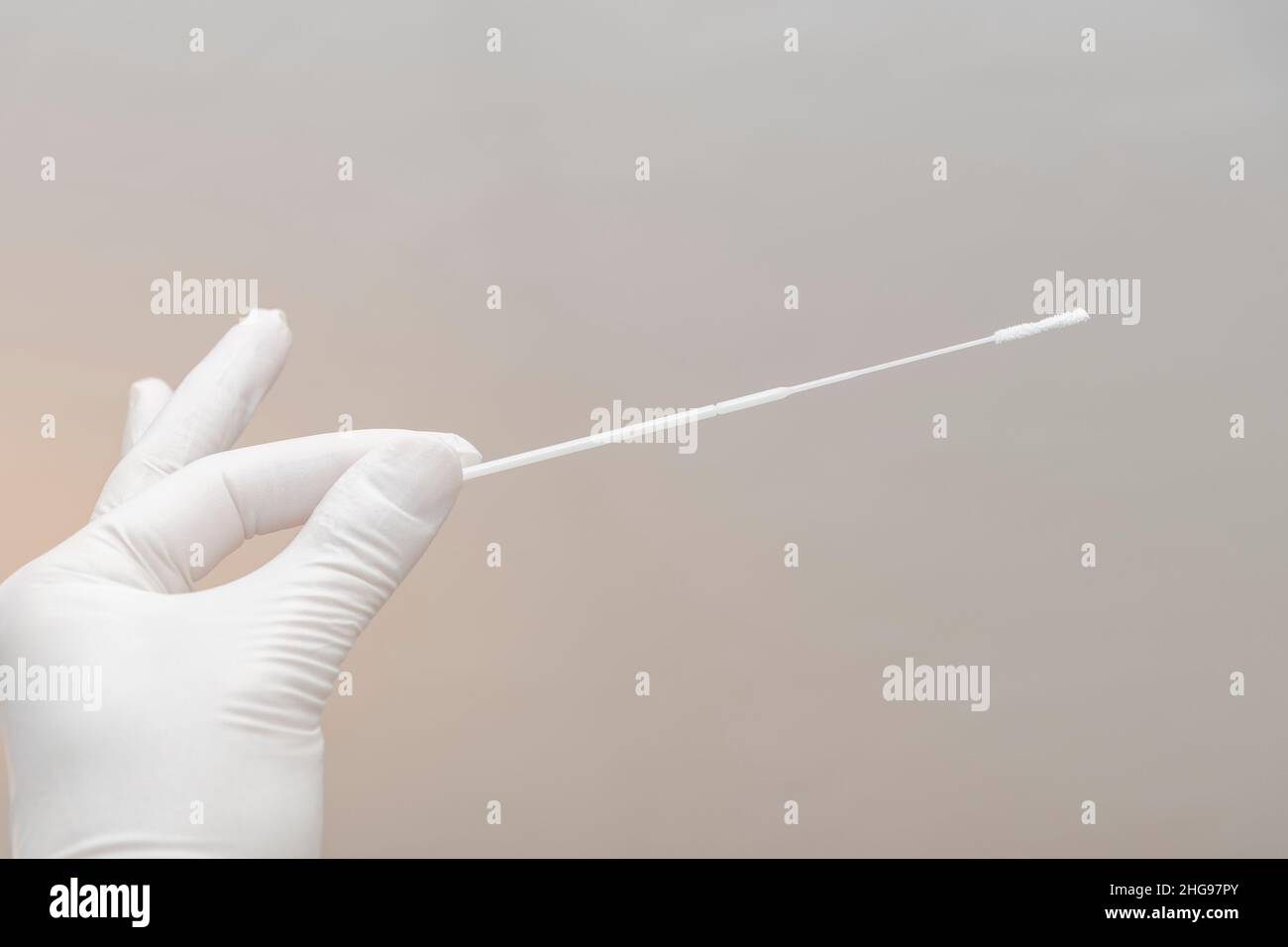Hand holding quick flu test swab Stock Photo - Alamy