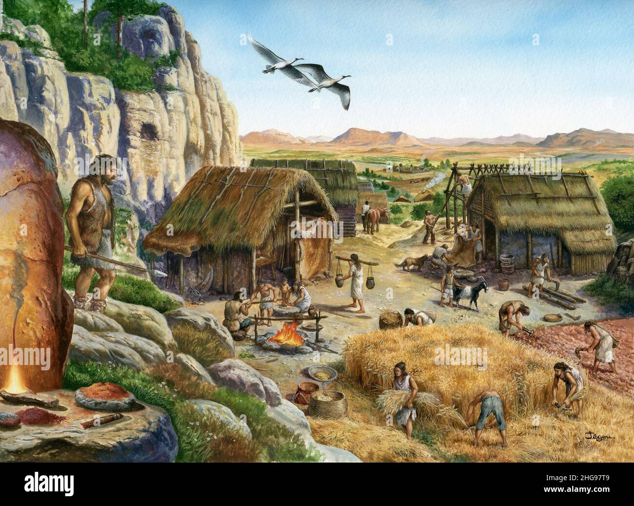 Neolithic agriculture, illustration Stock Photo - Alamy