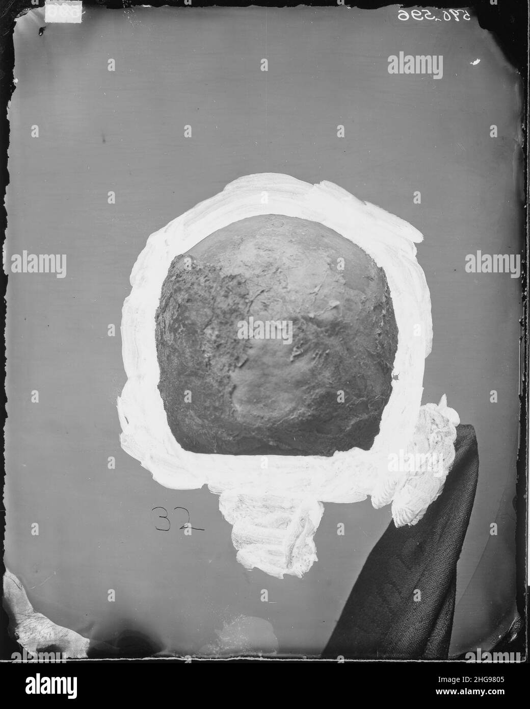 Skull back Black and White Stock Photos & Images - Alamy