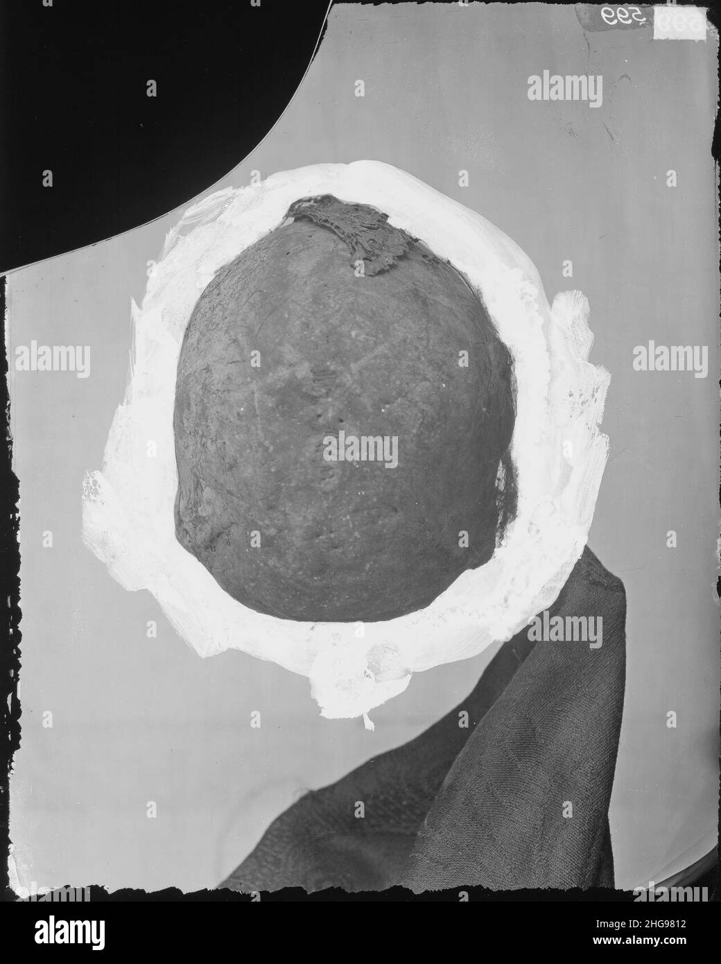 Skull top hi-res stock photography and images - Alamy