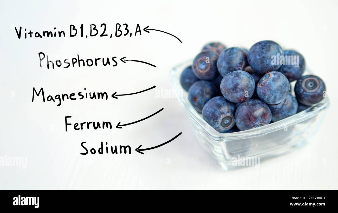 Composition of blueberries on chemical elements and vitamins Stock ...