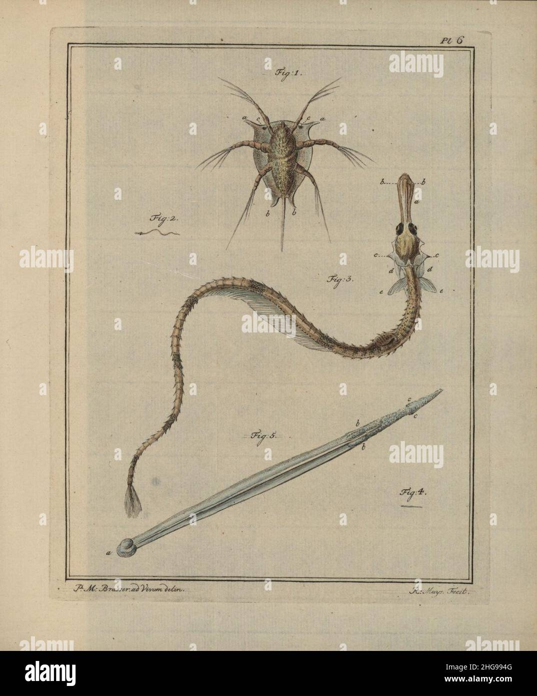 Slabber hi-res stock photography and images - Alamy