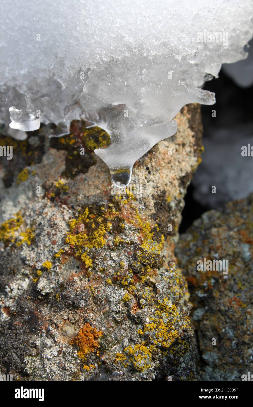snow melting on the rock Stock Photo - Alamy