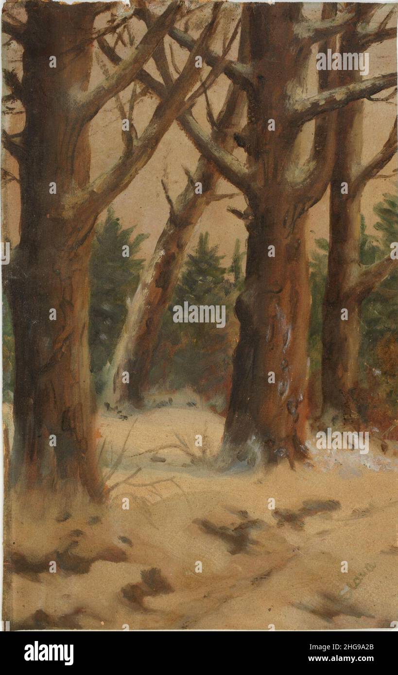 Zimi hi-res stock photography and images - Alamy