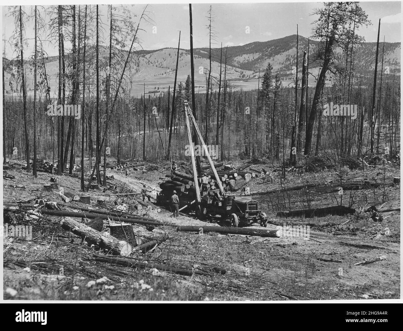 Slavage loggin in progress on the Tunk Creek logging unit in the NE ...