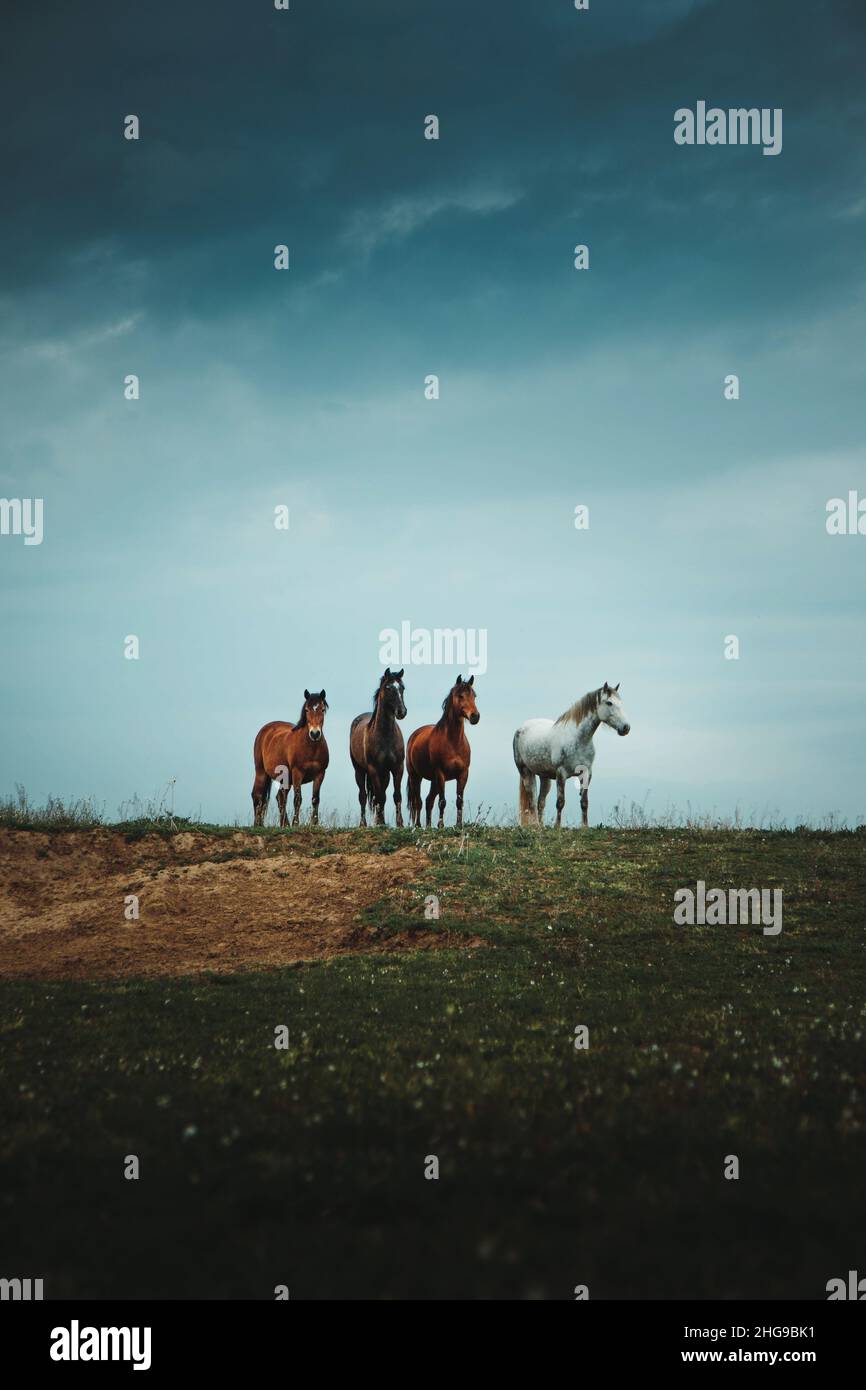 these images represent what photography is to me, imagination, majesty ...
