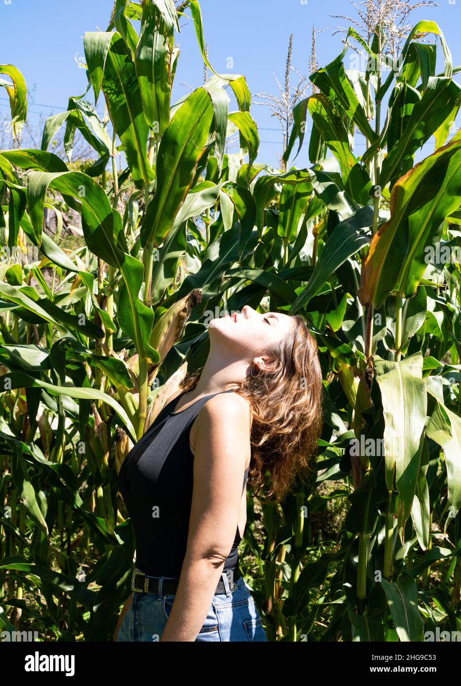 Back view of women hi-res stock photography and images - Alamy