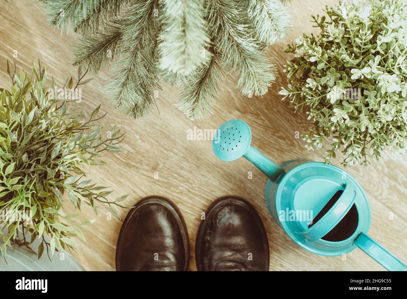 Overhead view of a woman standing by a watering can and houseplants ...