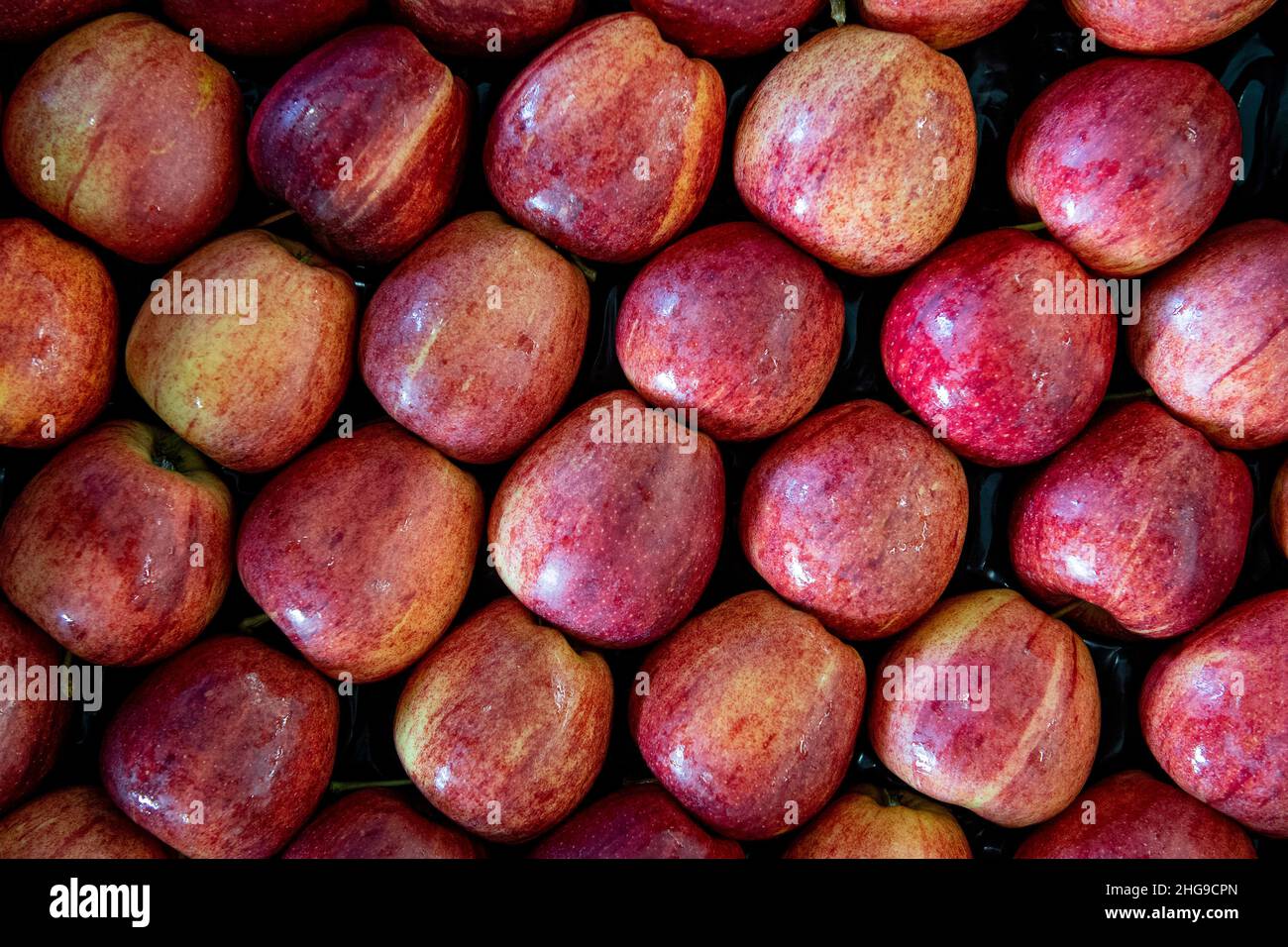 Sorting center hi-res stock photography and images - Alamy