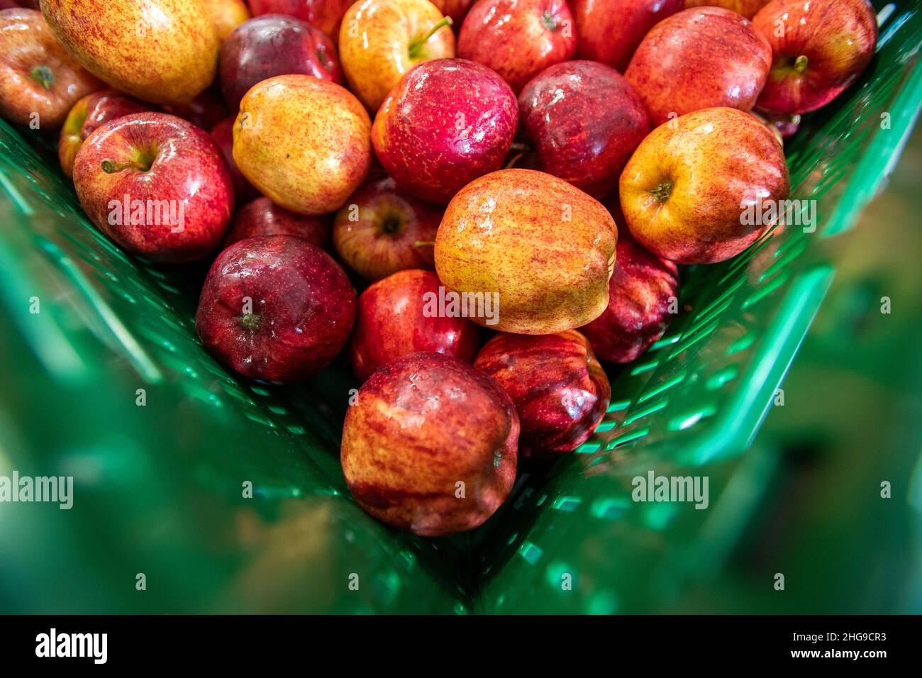 Sorting center hi-res stock photography and images - Alamy