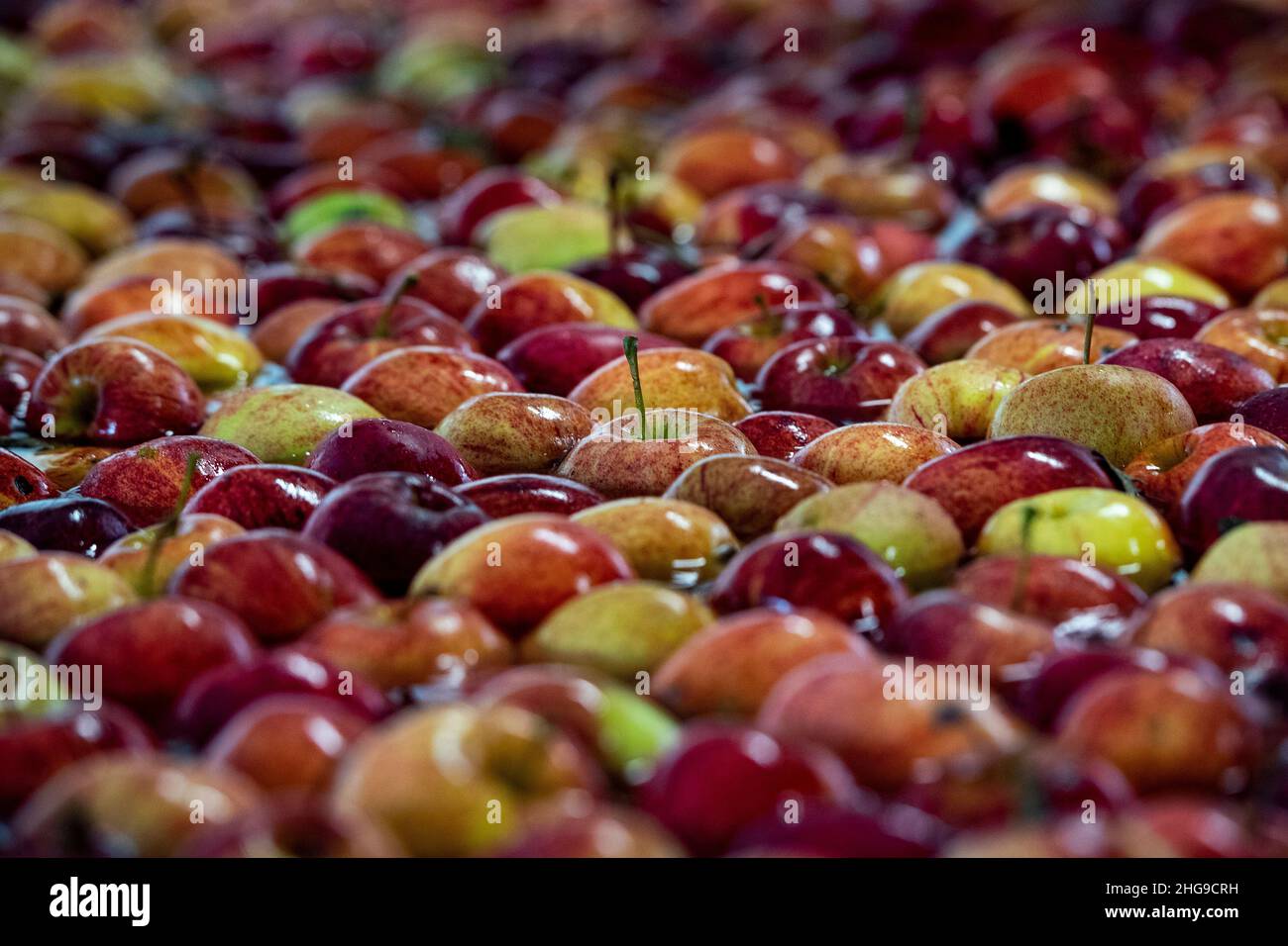 Sorting center hi-res stock photography and images - Alamy