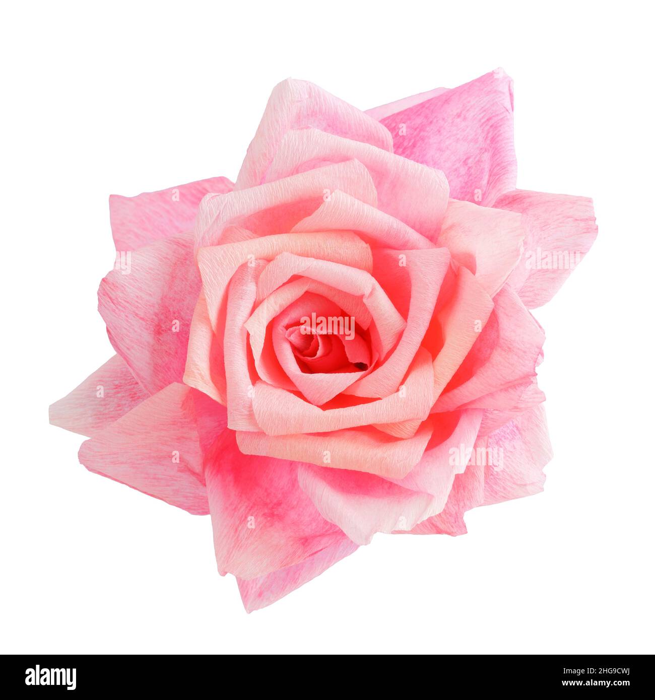 Paper flowers diy Cut Out Stock Images & Pictures - Alamy