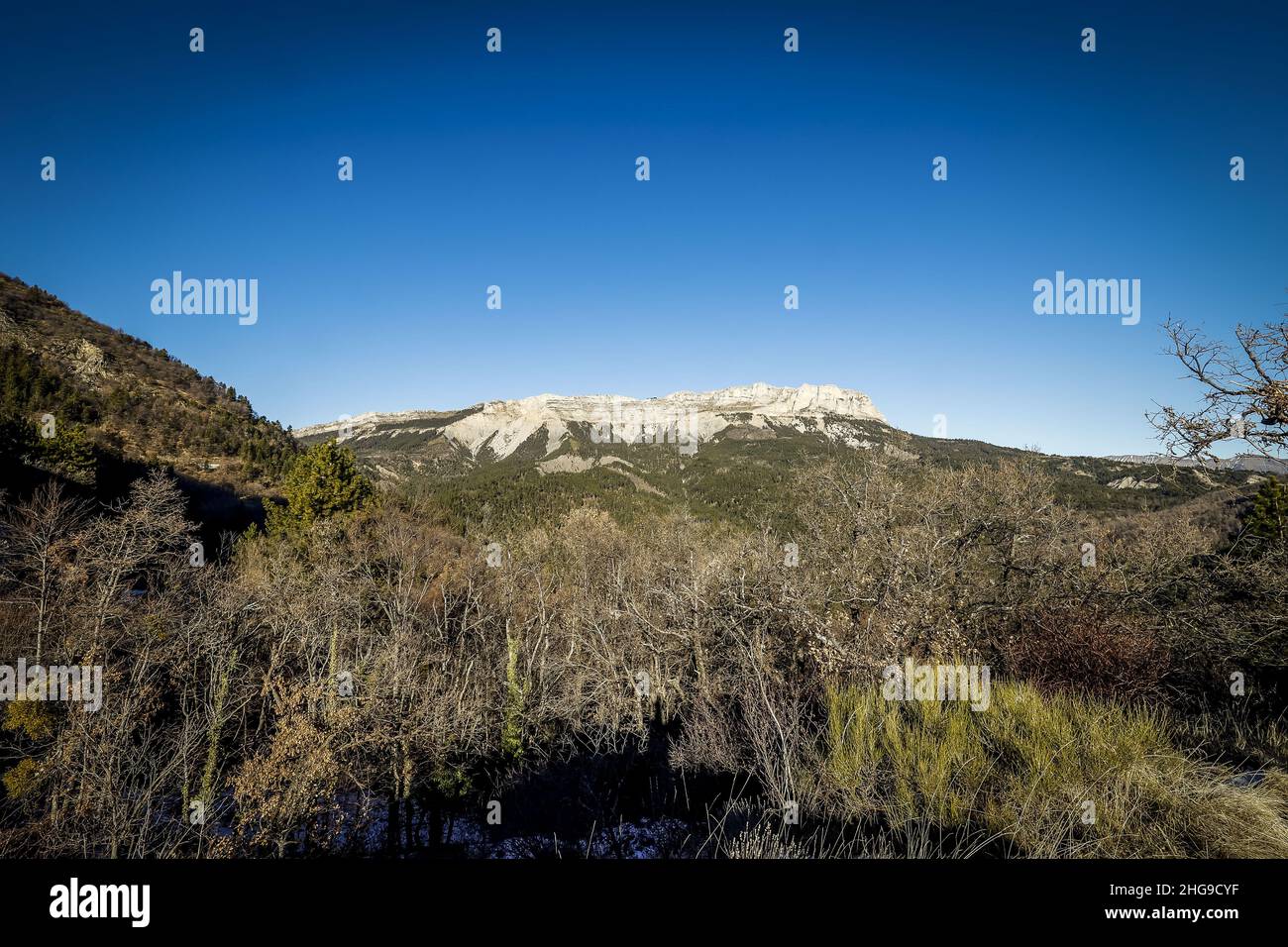 landscape during the 2022 WRC World Rally Car Championship, 90th ...