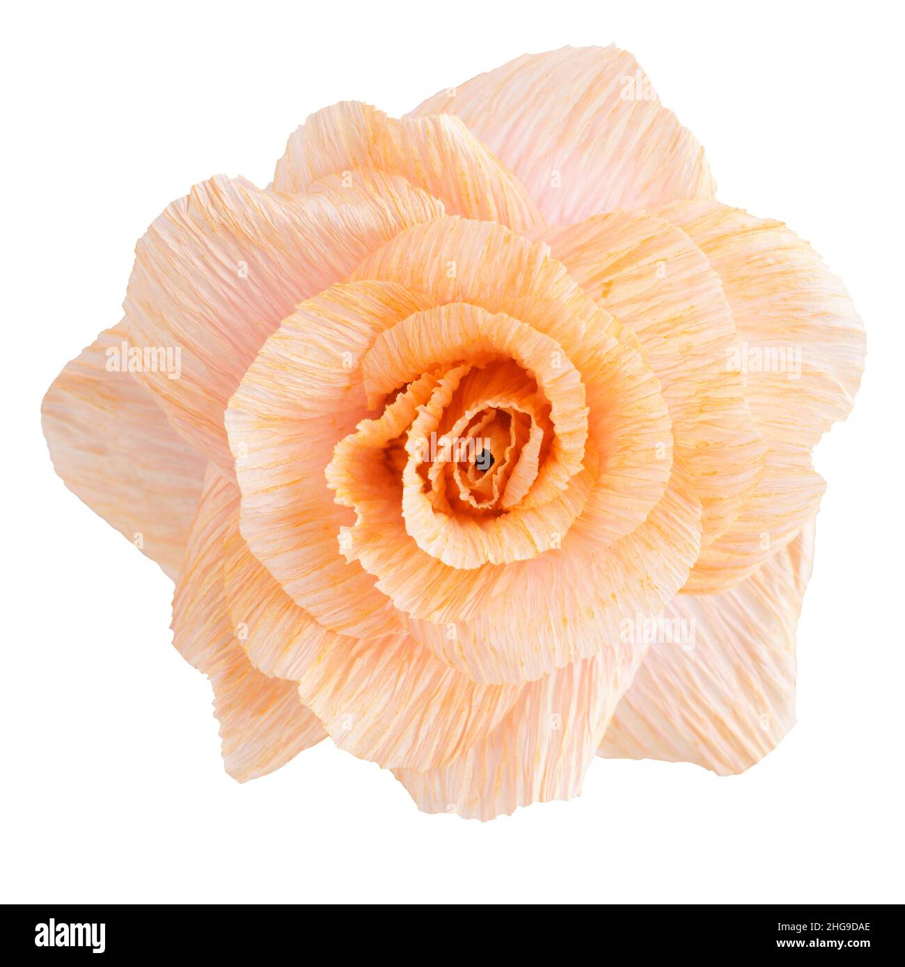 Paper flowers diy Cut Out Stock Images & Pictures - Alamy