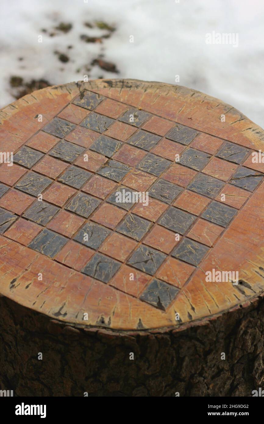 A checkerboard pattern etched into the top of a tree trunk to play ...
