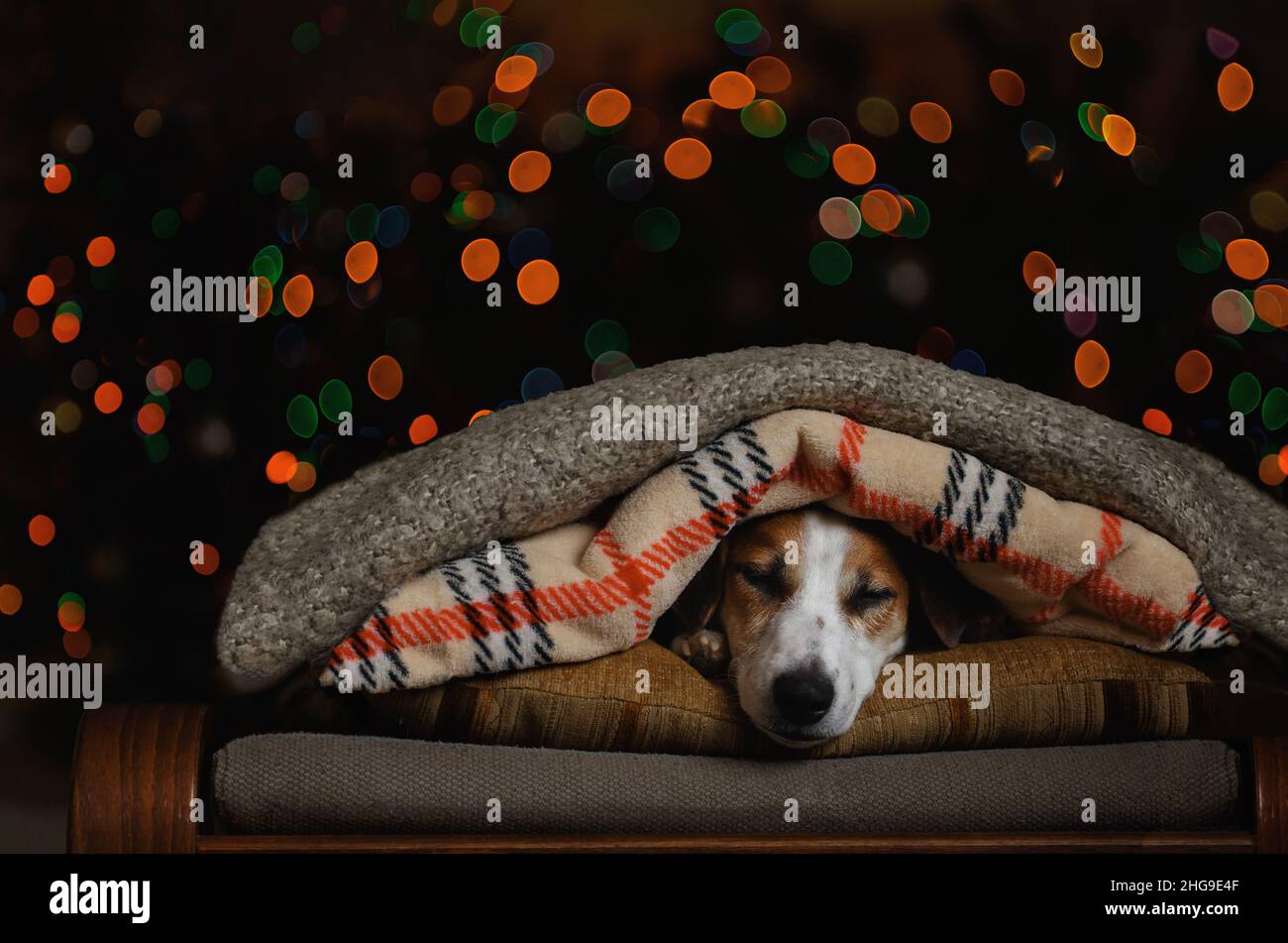 Nap under the tree hi-res stock photography and images - Alamy