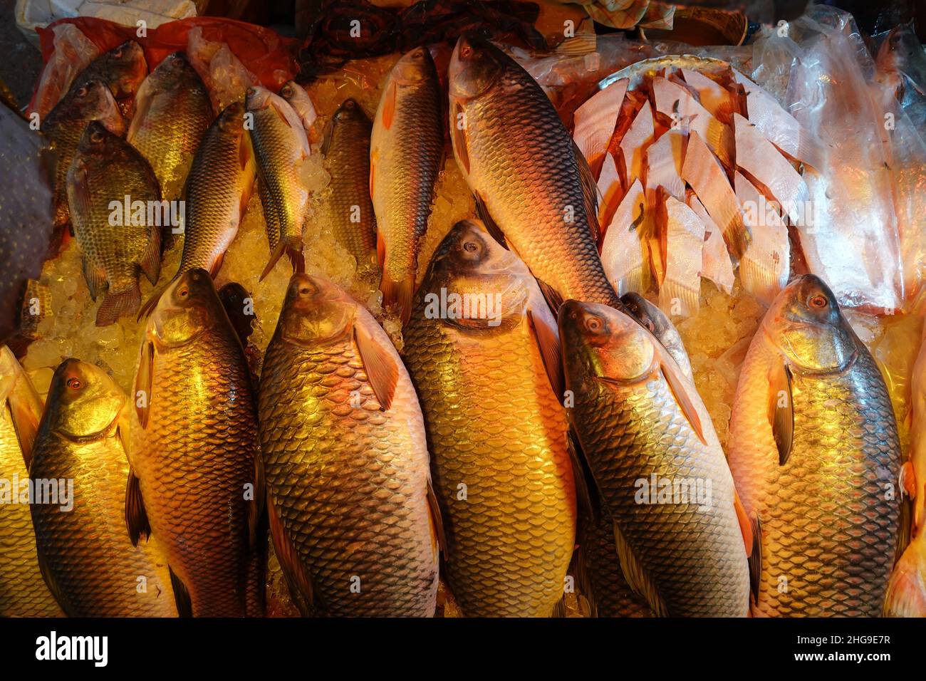 raw fish display for sale at local market in Bangladesh Stock Photo - Alamy