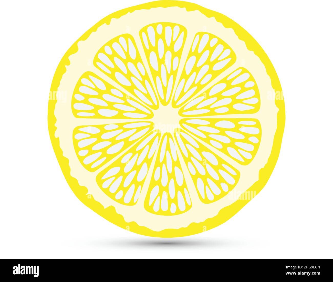 Lemon slice vector on white background, conceptual vector Stock Vector ...