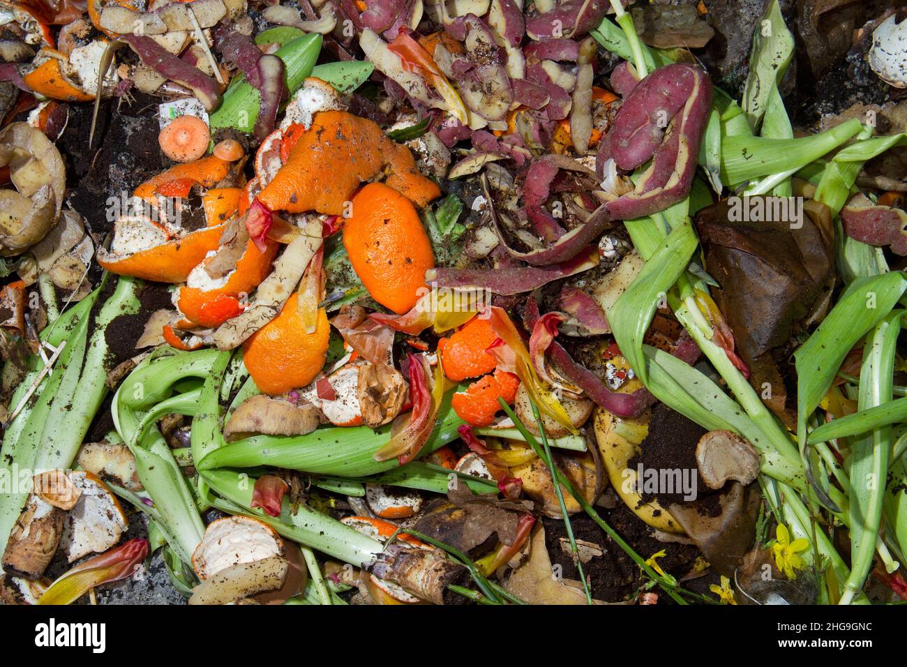 Biomass: organic refuse on compost heap, top view Stock Photo - Alamy