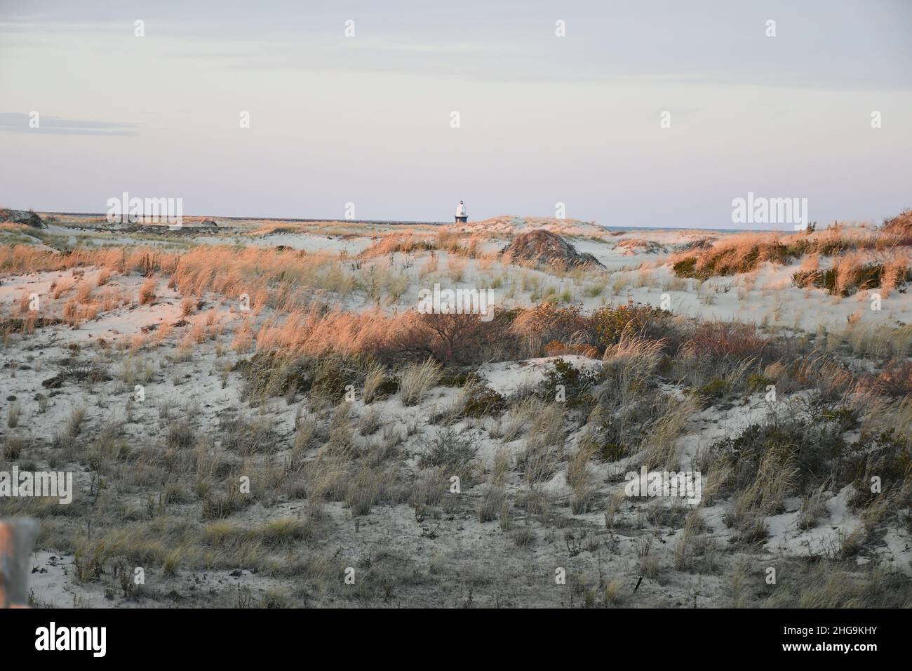 Landscape of Cape Henlopen with lighthouse in the distance Stock Photo ...