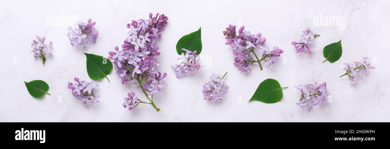 Extra long banner with lilac flowers on stone background. Mothers day ...