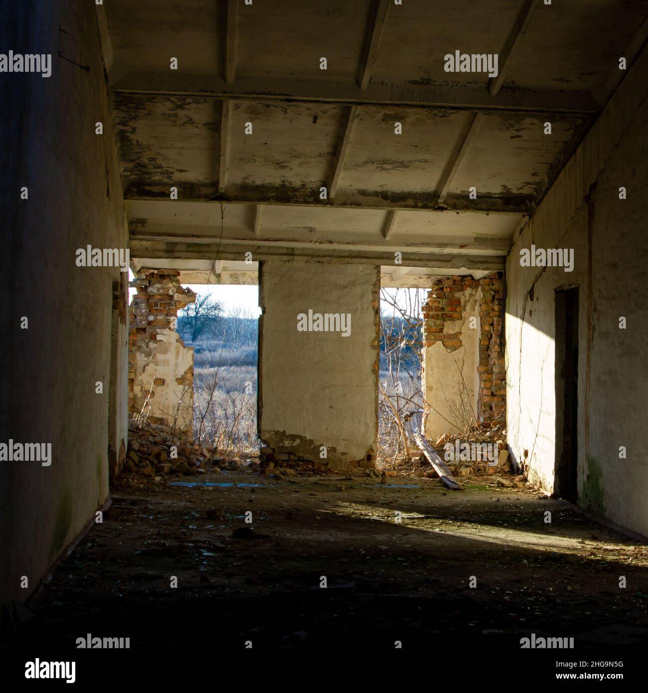 Abandoned and ruined old farm overgrown with bushes and trees Stock ...