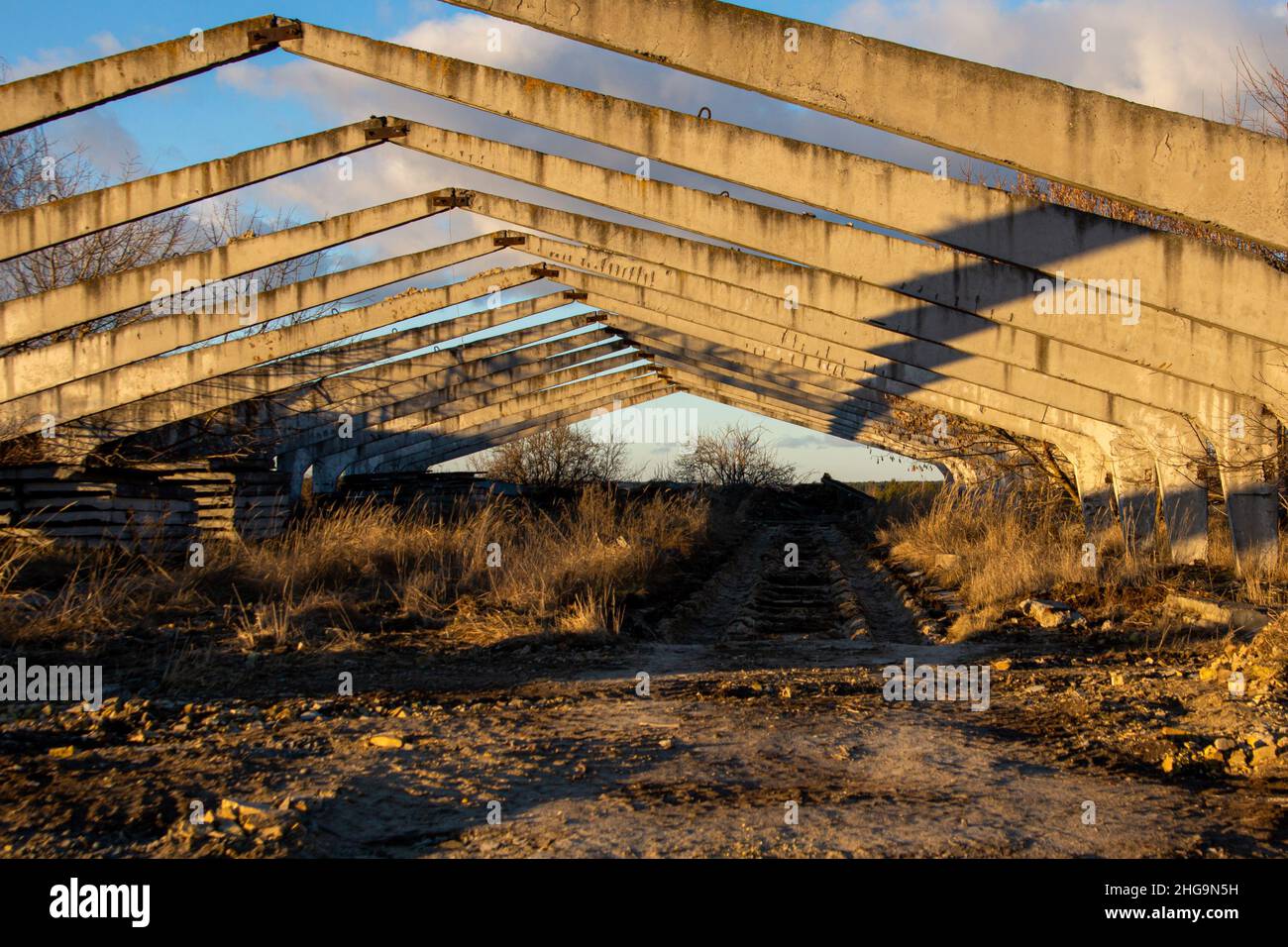 Abandoned and ruined old farm overgrown with bushes and trees Stock ...