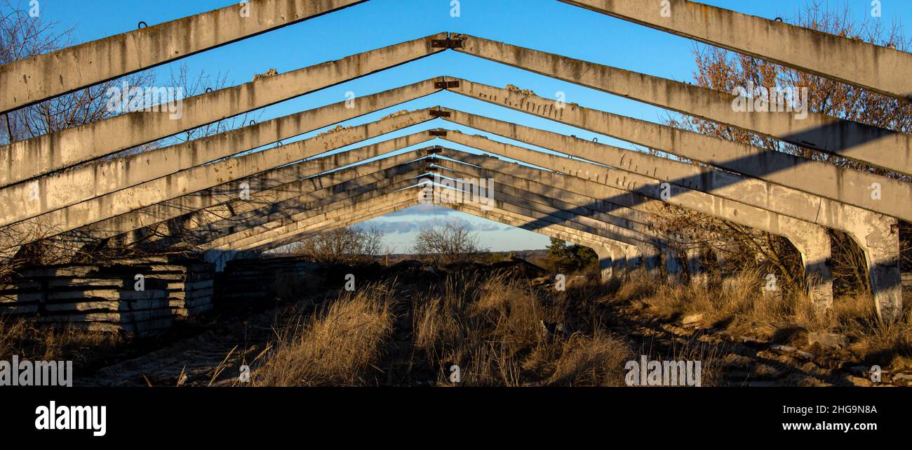 Abandoned and ruined old farm overgrown with bushes and trees Stock ...