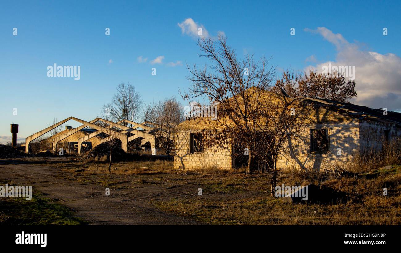 Abandoned and ruined old farm overgrown with bushes and trees Stock ...