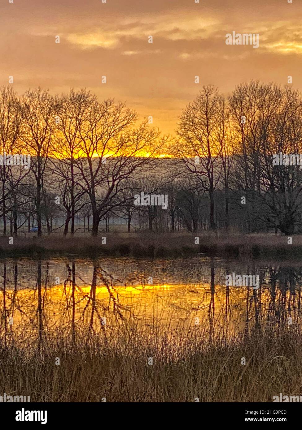 Reflections in a pond at sunset on the heath in the Netherlands Stock ...