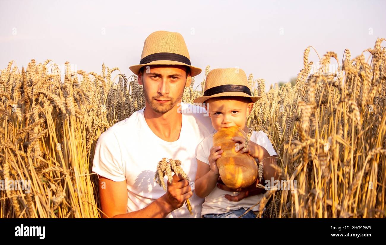 happy child and father in the field of ripening wheat. boy and dad are ...
