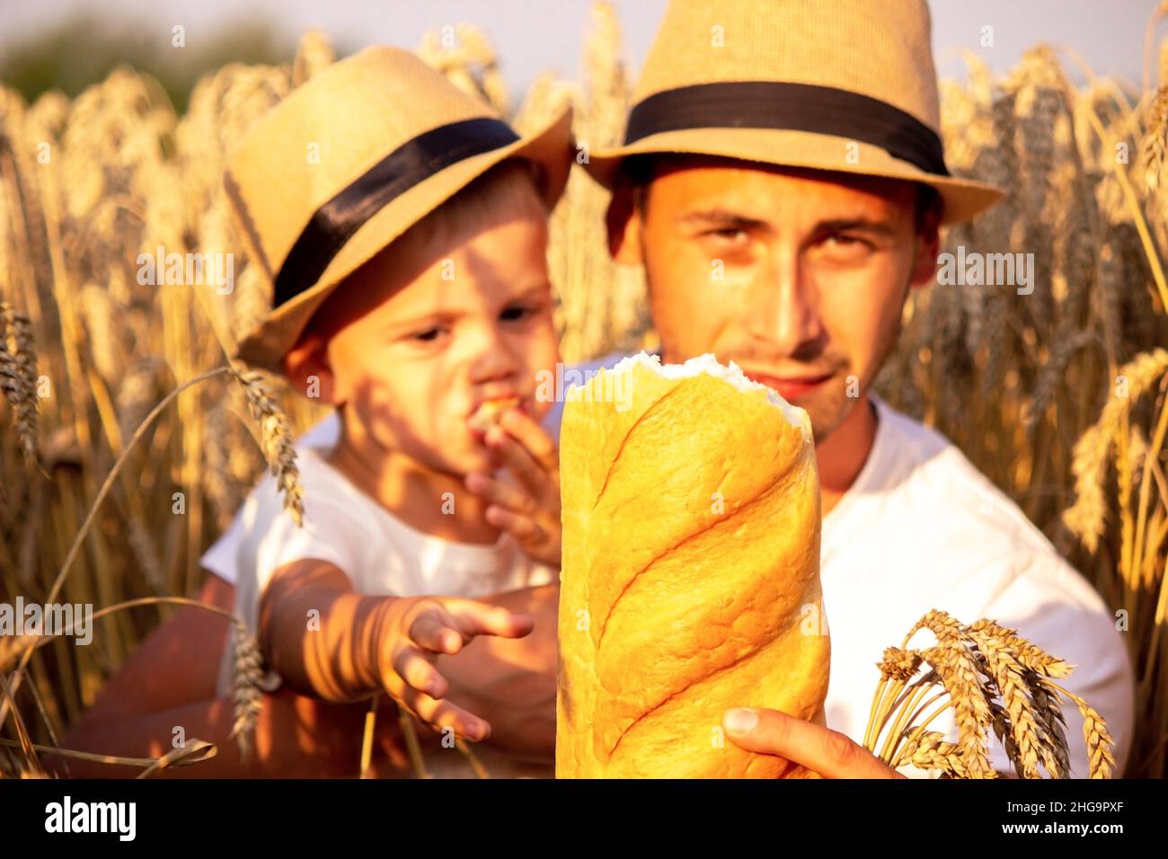 happy child and father in the field of ripening wheat. boy and dad are ...