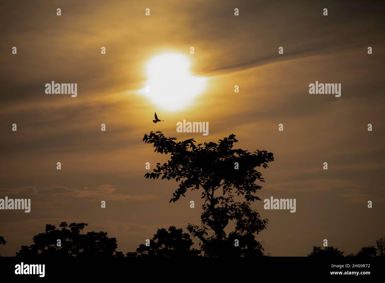 Beautiful view sunset in indian hi-res stock photography and images - Alamy