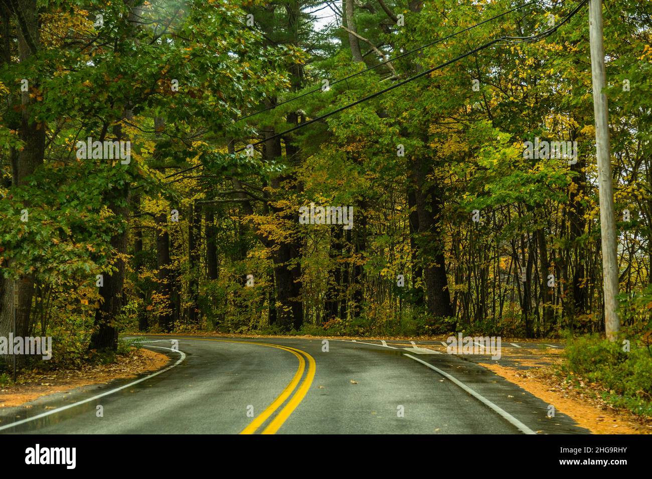 A left curve on a quiet, colorful, shaded, rural country road Stock ...