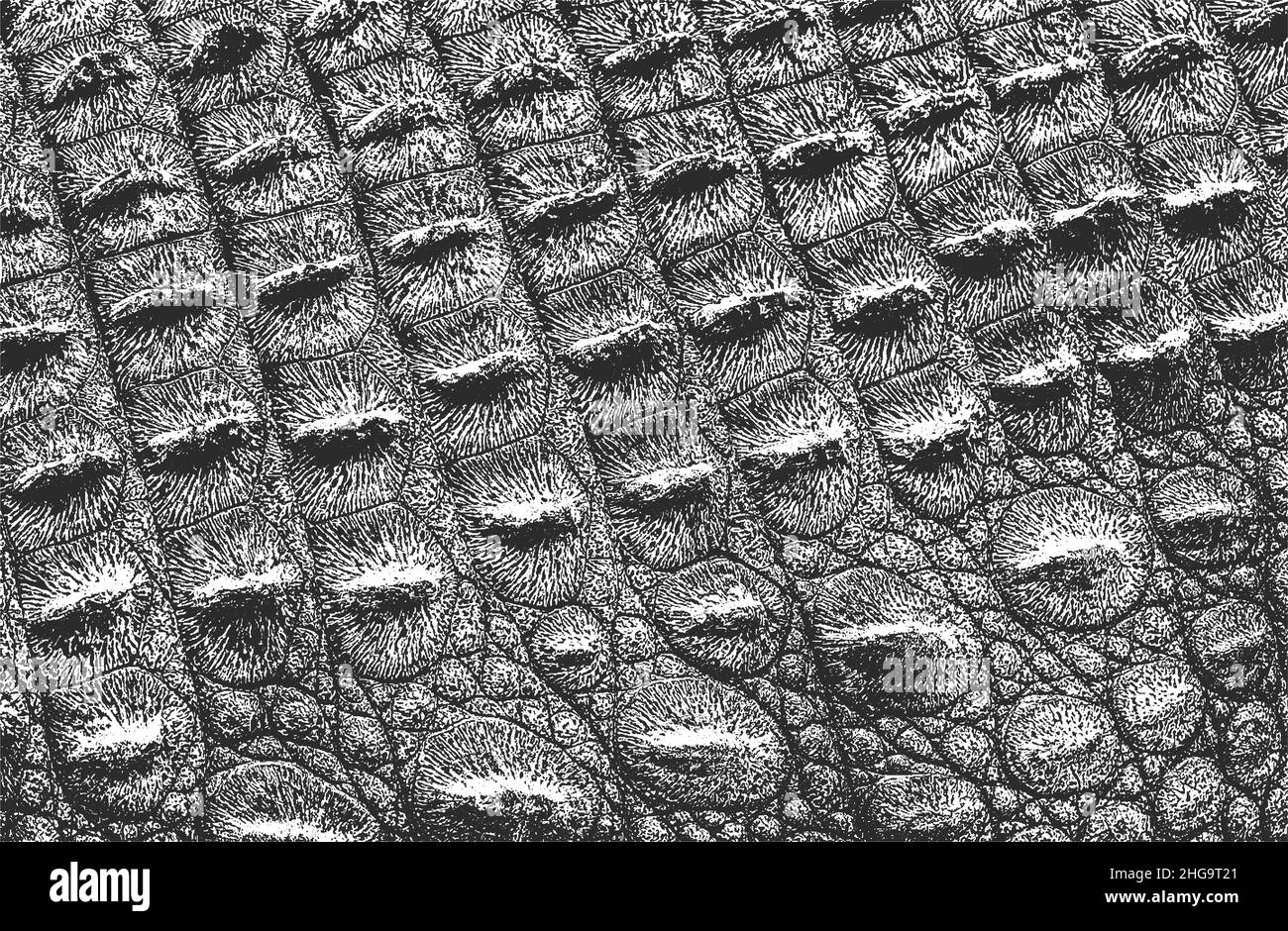 Distressed overlay texture of crocodile or snake skin leather, grunge ...