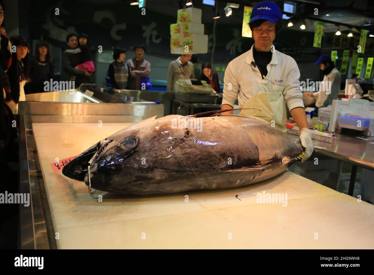 fish worker fillet the Tuna ,make a auction at tore tore fish market in ...