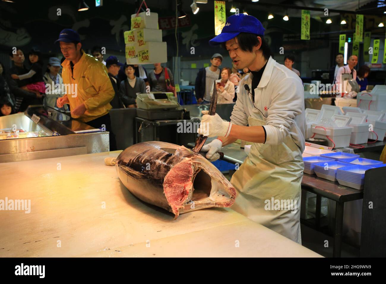 fish worker fillet the Tuna ,make a auction at tore tore fish market in ...
