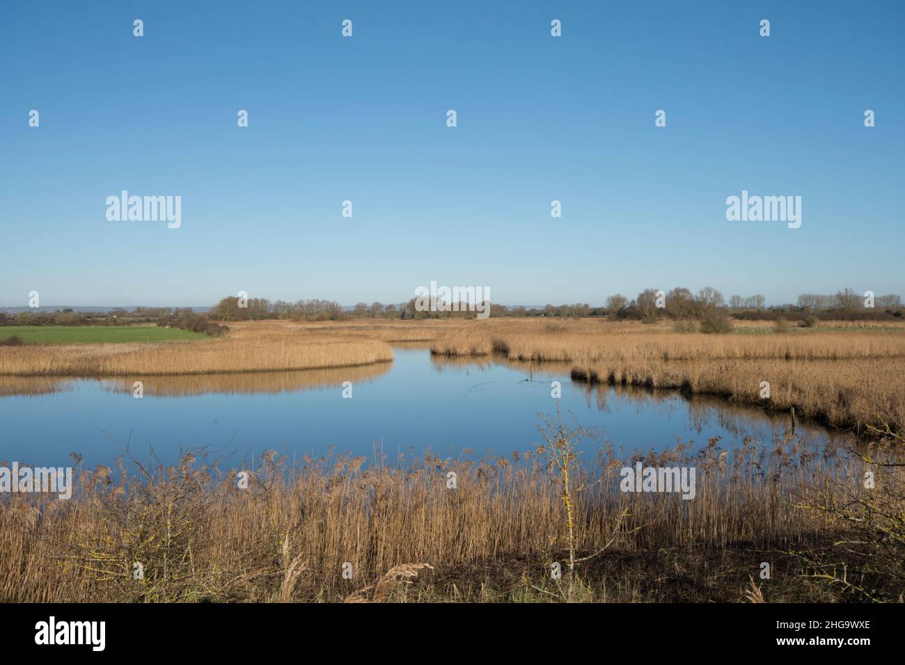 North wall pagham harbour nature reserve hi-res stock photography and ...
