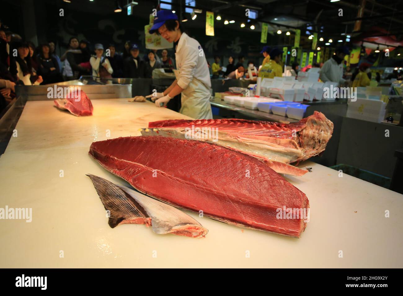 fish worker fillet the Tuna ,make a auction at tore tore fish market in ...