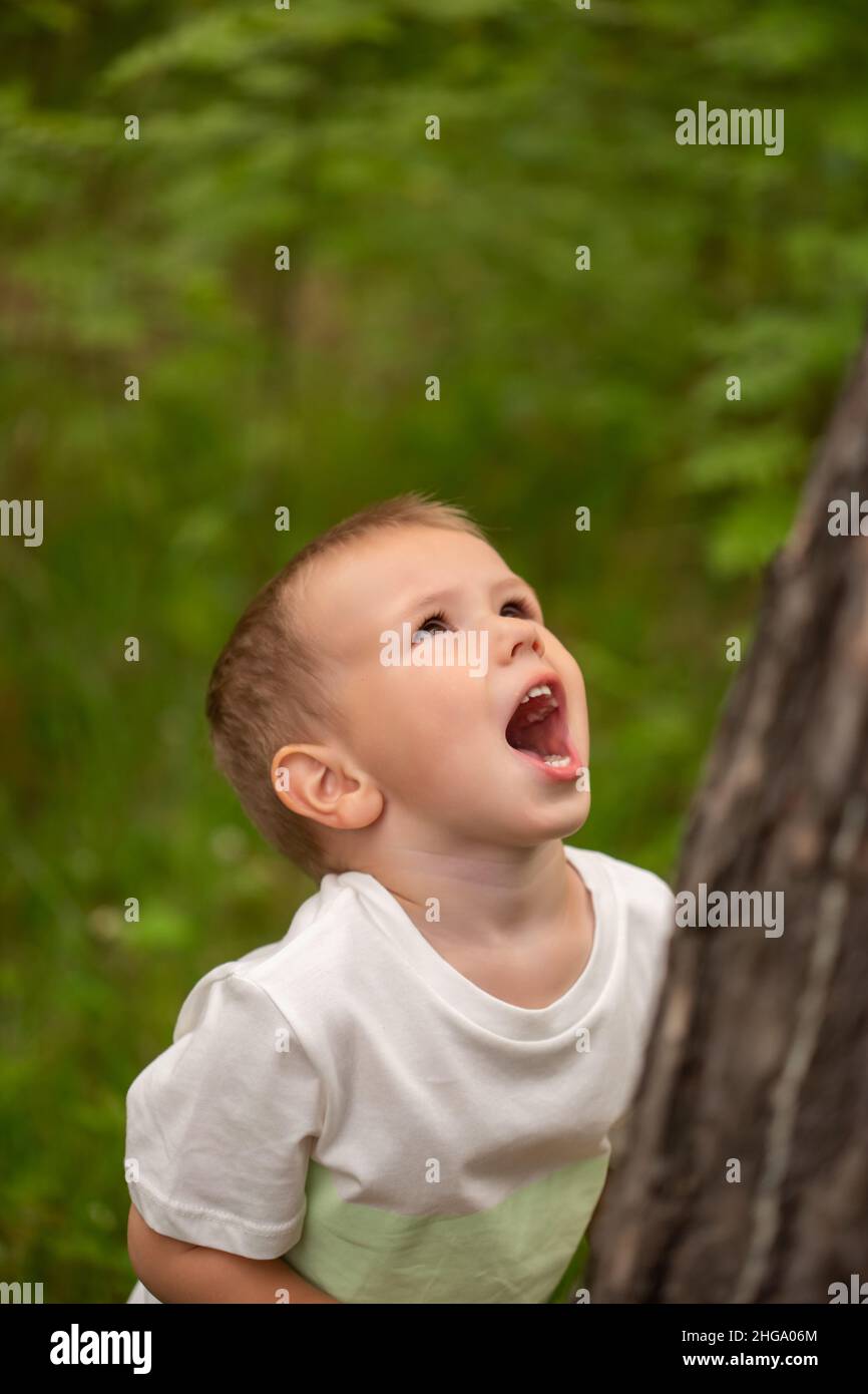 Cute Caucasian boy in the forest against the background of grass Stock Photo - Alamy