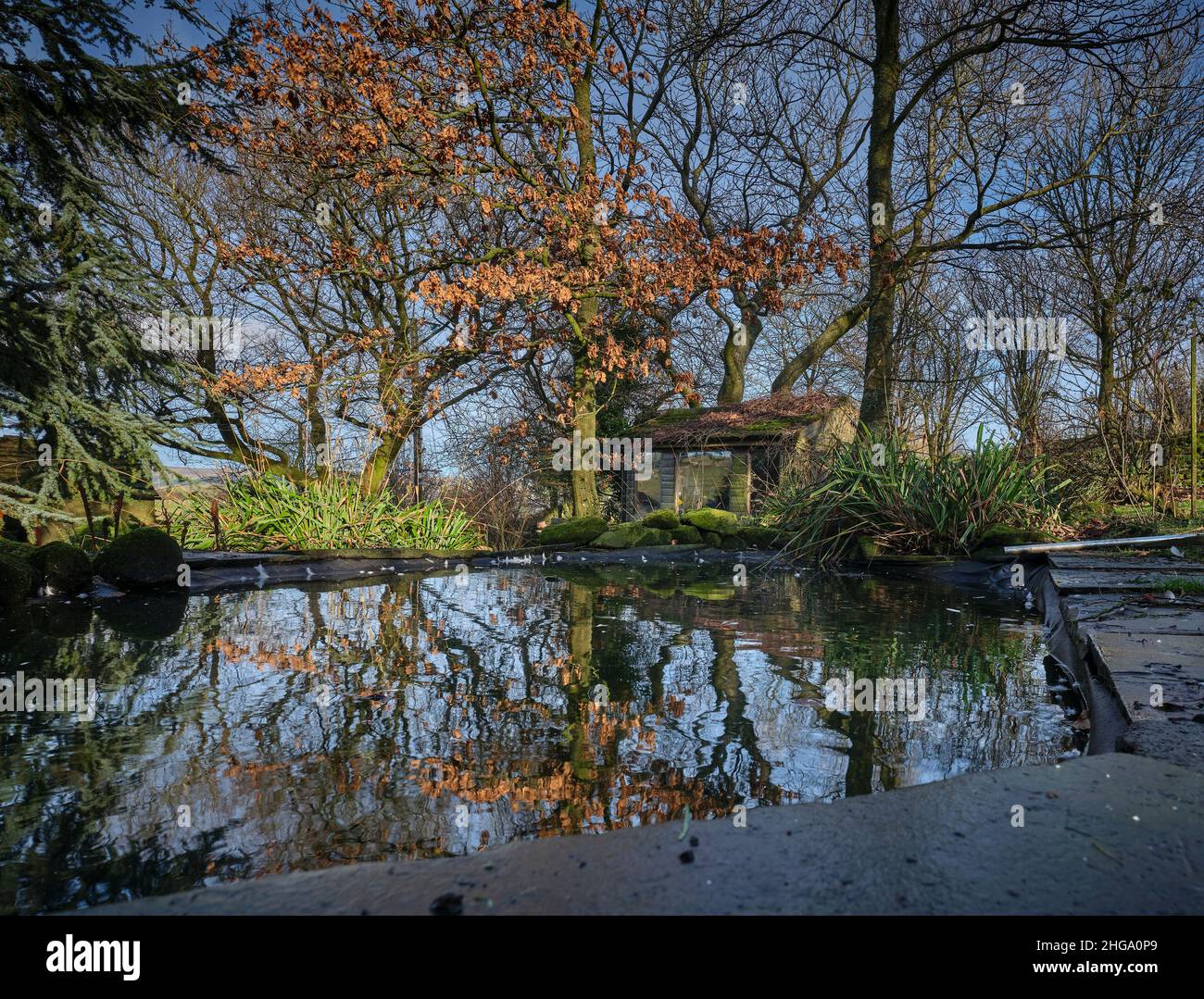 Duck pond and garden shed on moorland smallholding at 900ft Stock Photo ...