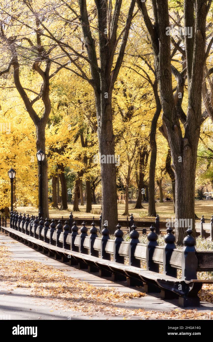 Glorious foliage hi-res stock photography and images - Alamy