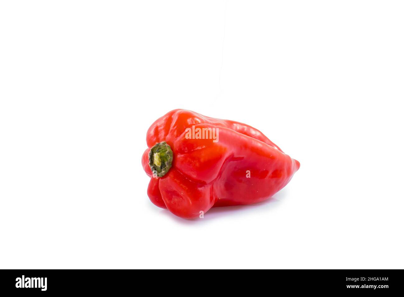 hot pepper isolated on a white background Stock Photo - Alamy