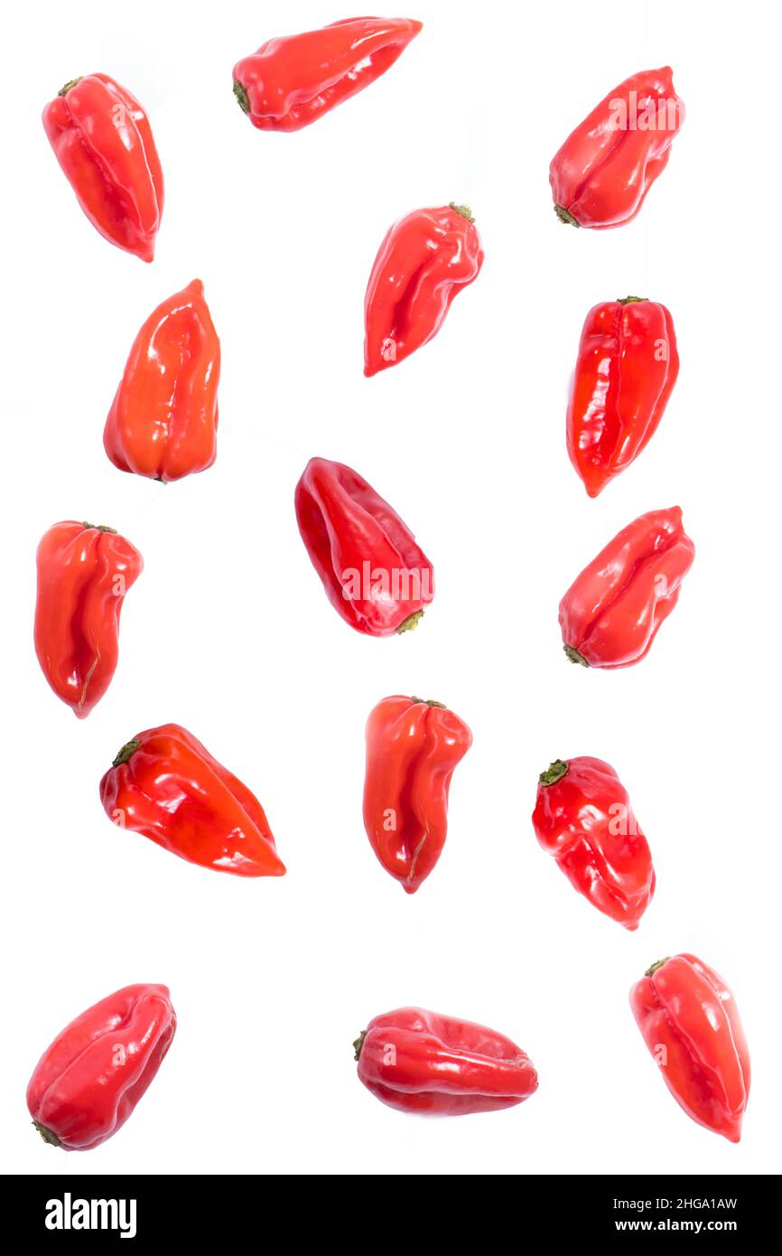 hot pepper isolated on a white background Stock Photo - Alamy