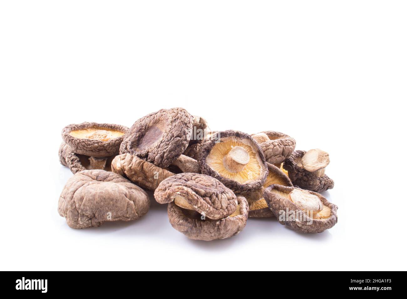 shiitake isolated on a white background Stock Photo - Alamy