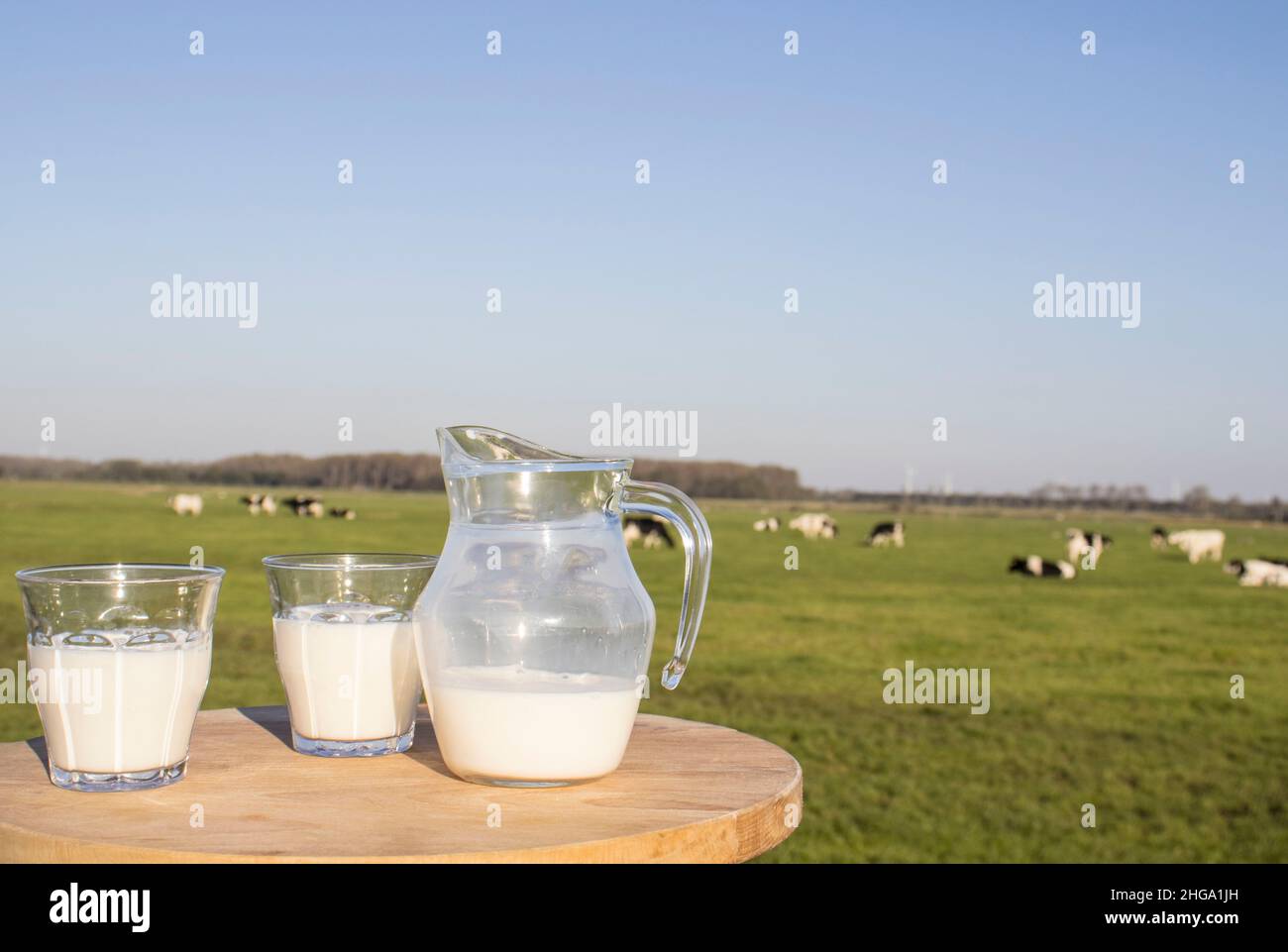 milk and cows with a jar Stock Photo - Alamy