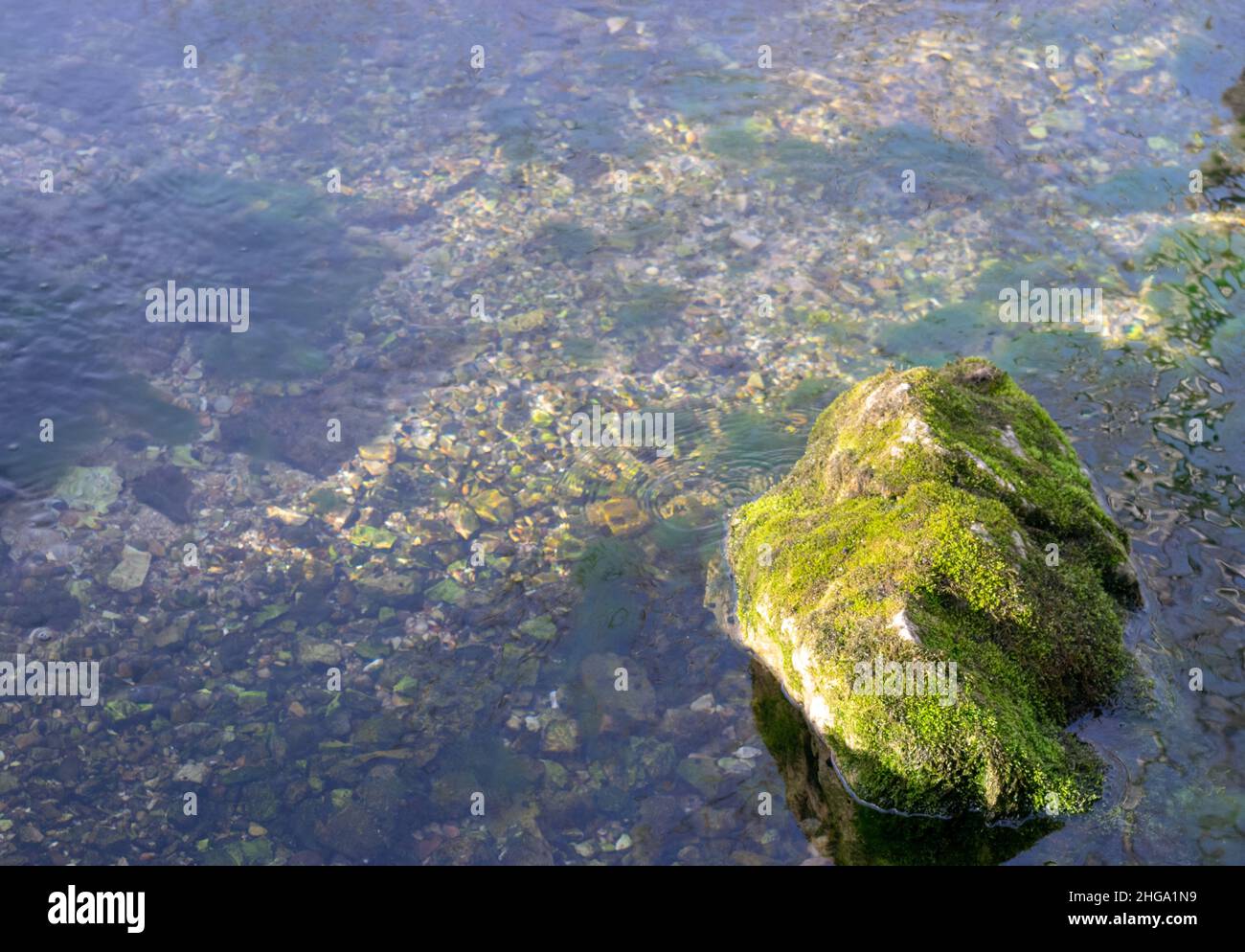 Roy Laughlin Park, hiking trail and fishing spot nature-Rubidoux spring ...